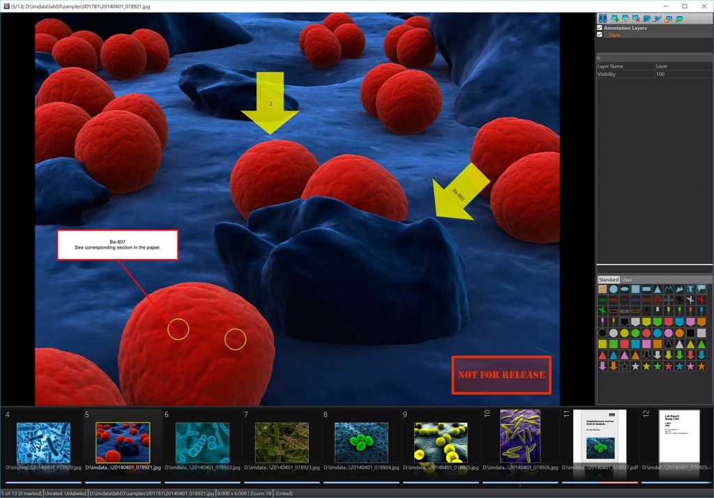 IMatch - Organize your digital images and other digital media files easily.